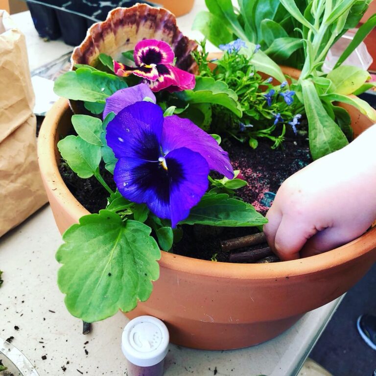 How to Start Great Gardening Projects for Kids Now